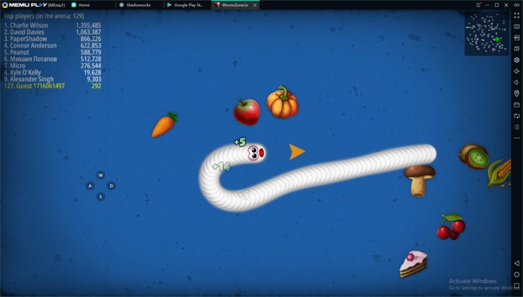 Download and Play Worms Zone on PC